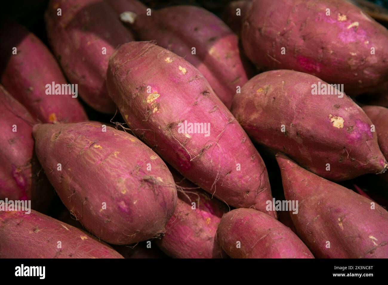 Japanese Sweet Potatoes (Yaki Imo) in a street food stall in Osaka ...