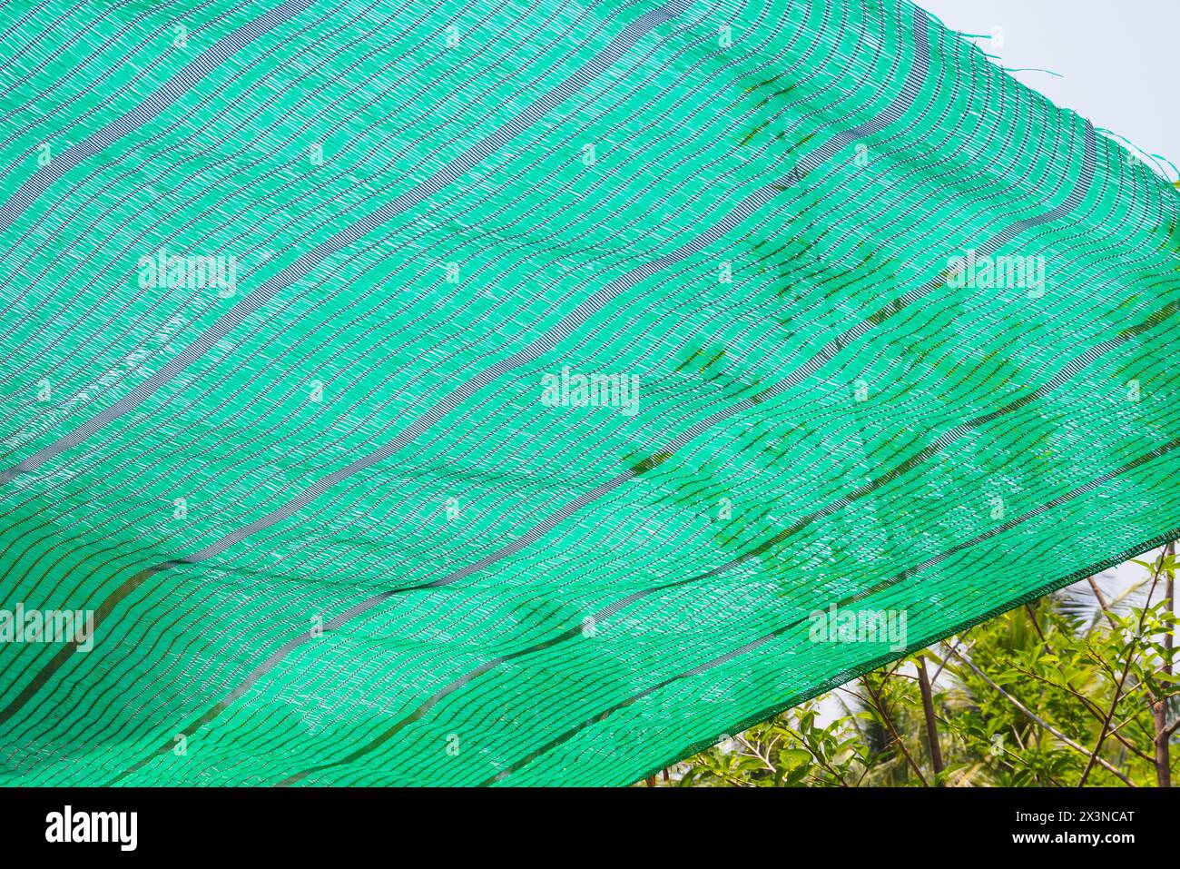 Green Shading Net protect sun light Stock Photo - Alamy