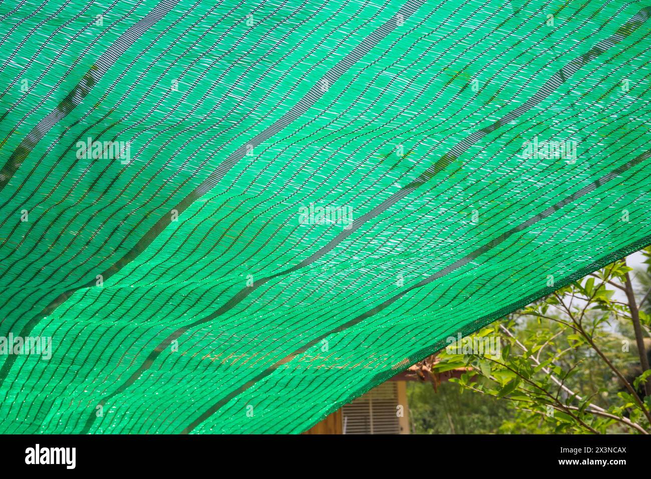 Green Shading Net protect sun light Stock Photo - Alamy