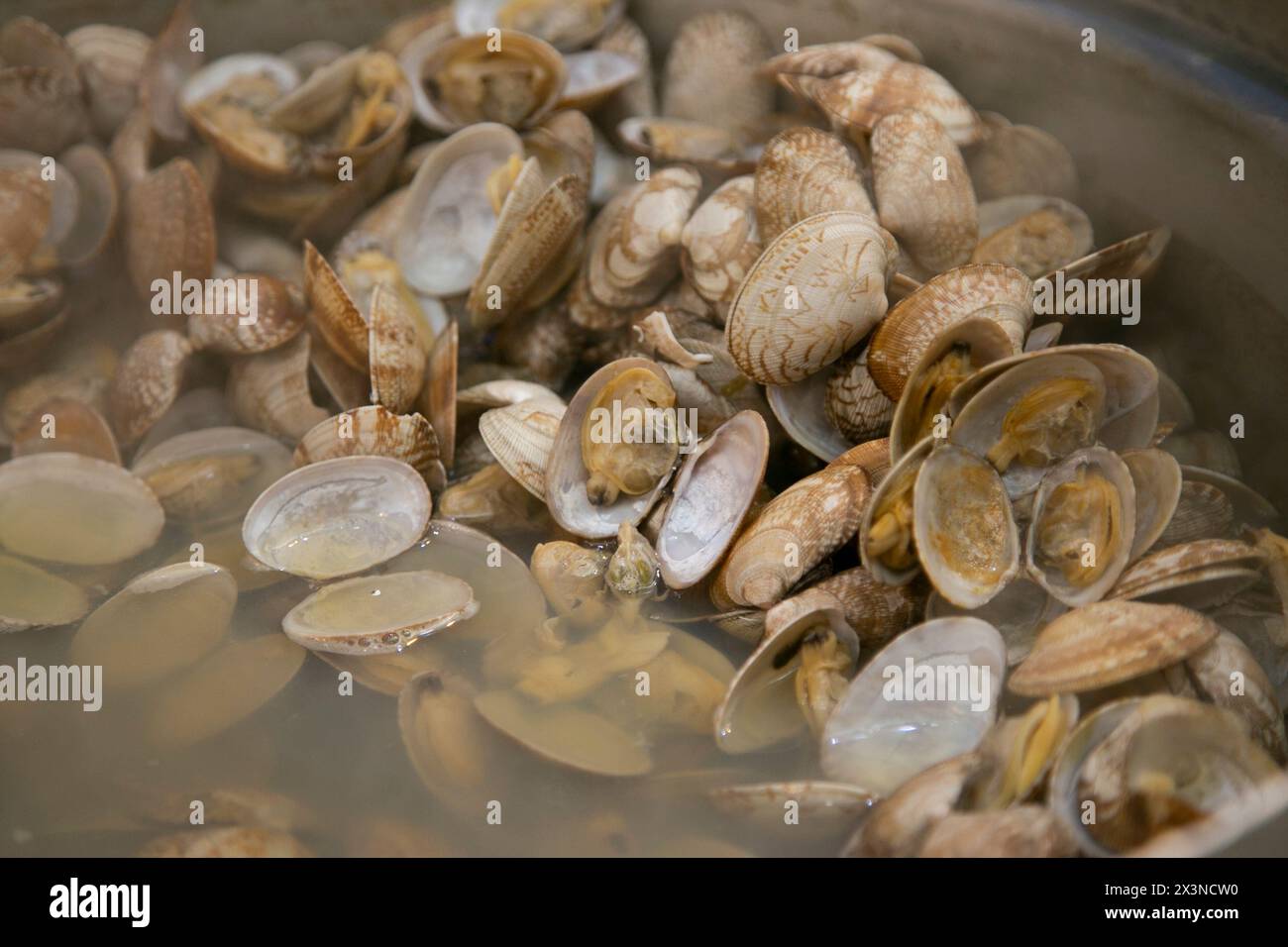 Seafood shell and fish cooked on a grill at the Osaka fish market in ...