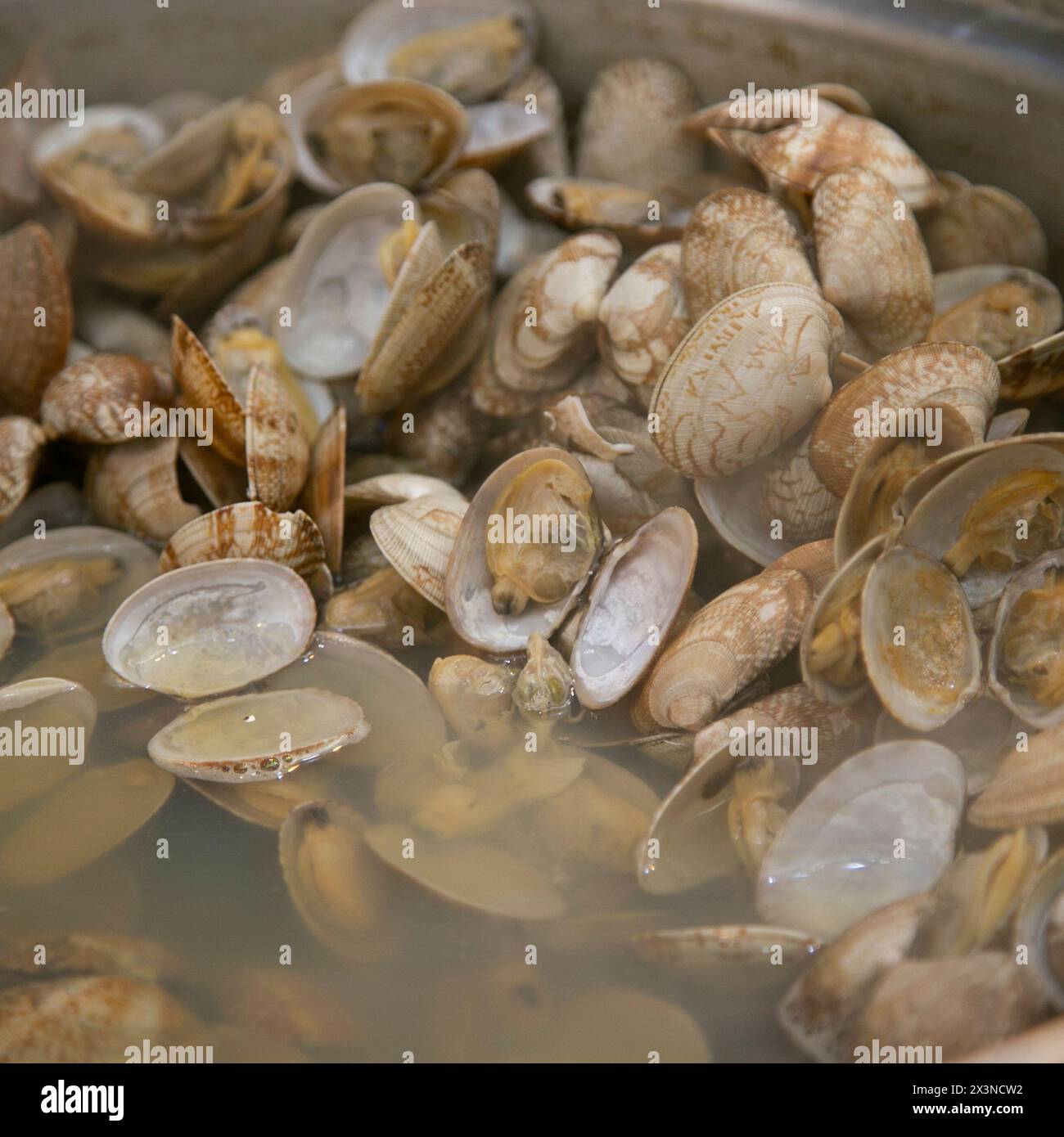 Seafood shell and fish cooked on a grill at the Osaka fish market in ...