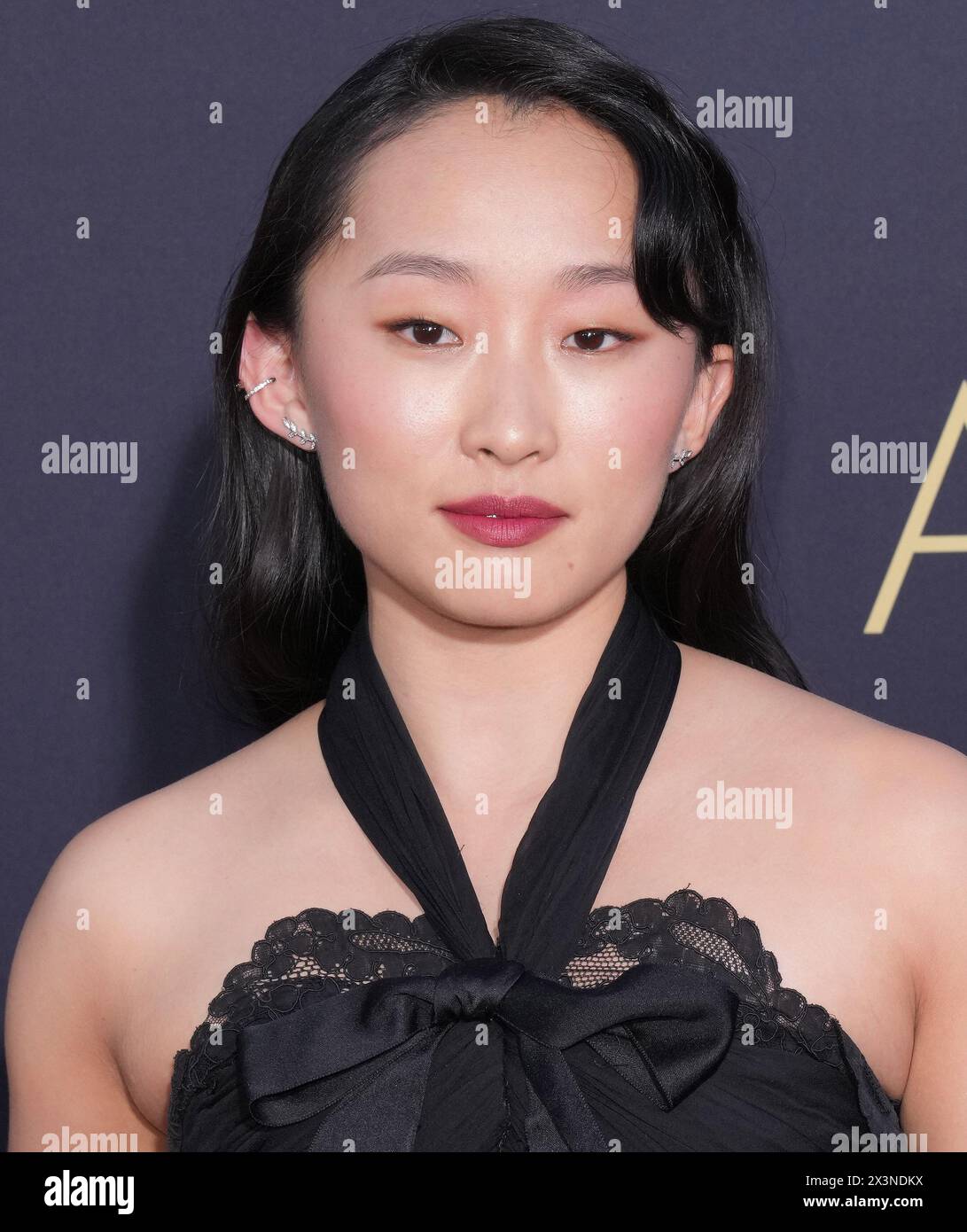 Los Angeles, USA. 27th Apr, 2024. Ji-young Yoo arrives at the 49th AFI ...