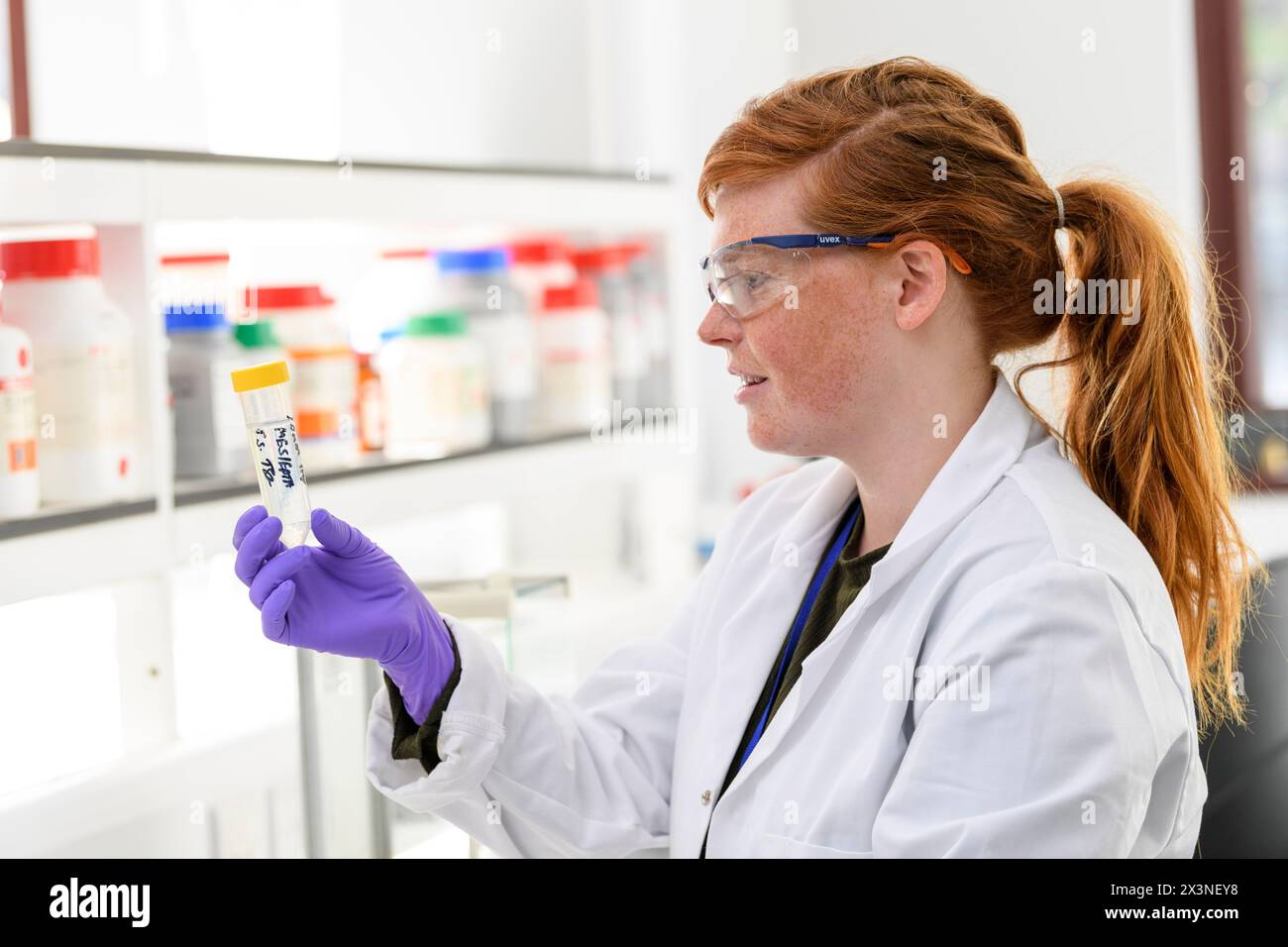 James Hutton Institute Science lab Science laboratory Stock Photo - Alamy