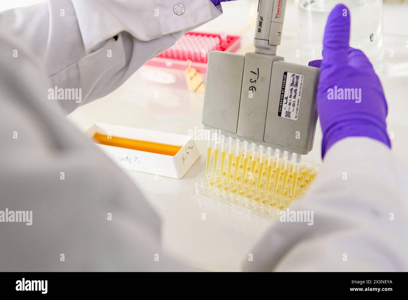 James Hutton Institute Science lab Science laboratory Stock Photo - Alamy