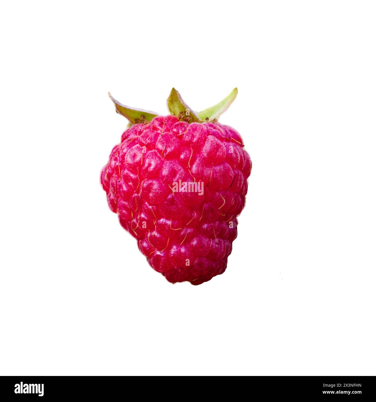 High-resolution image capturing the detailed texture and bright color ...