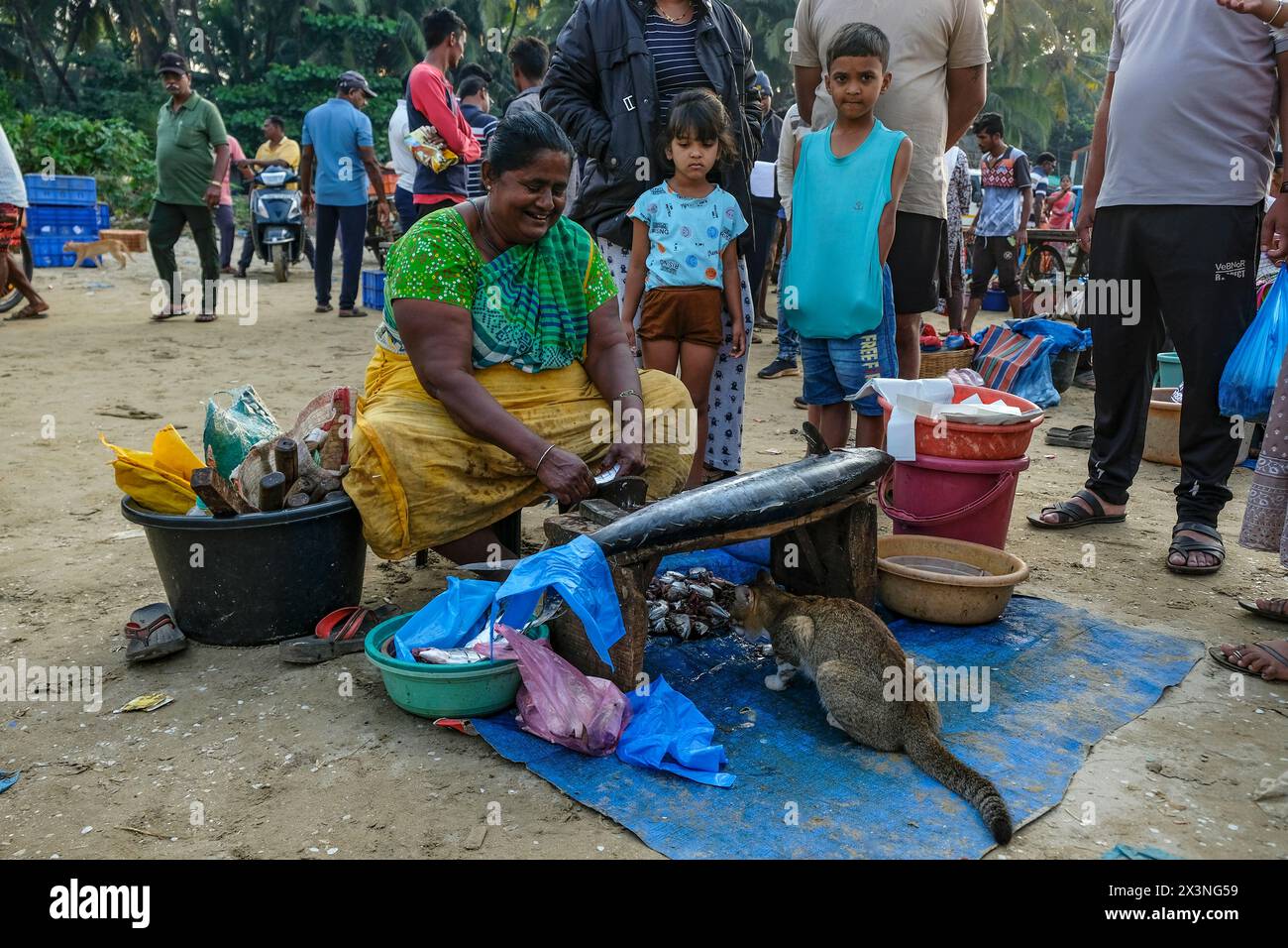 Malvan, India - February 7, 2024: A woman selling fish at the Malvan ...