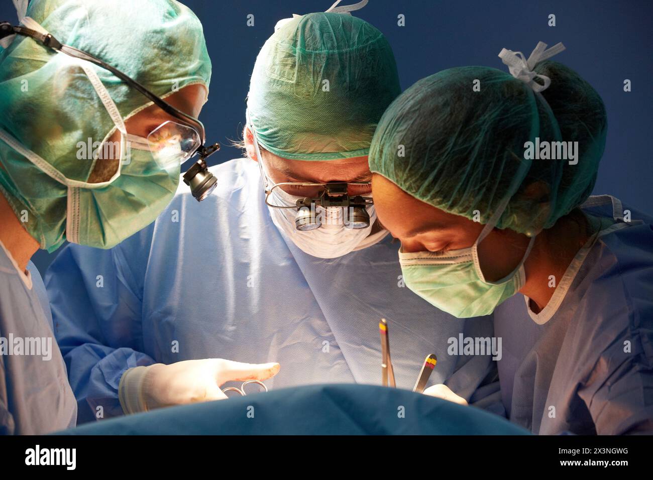 Surgeons, Vascular Operating Room, Surgery, Hospital Donostia, San ...