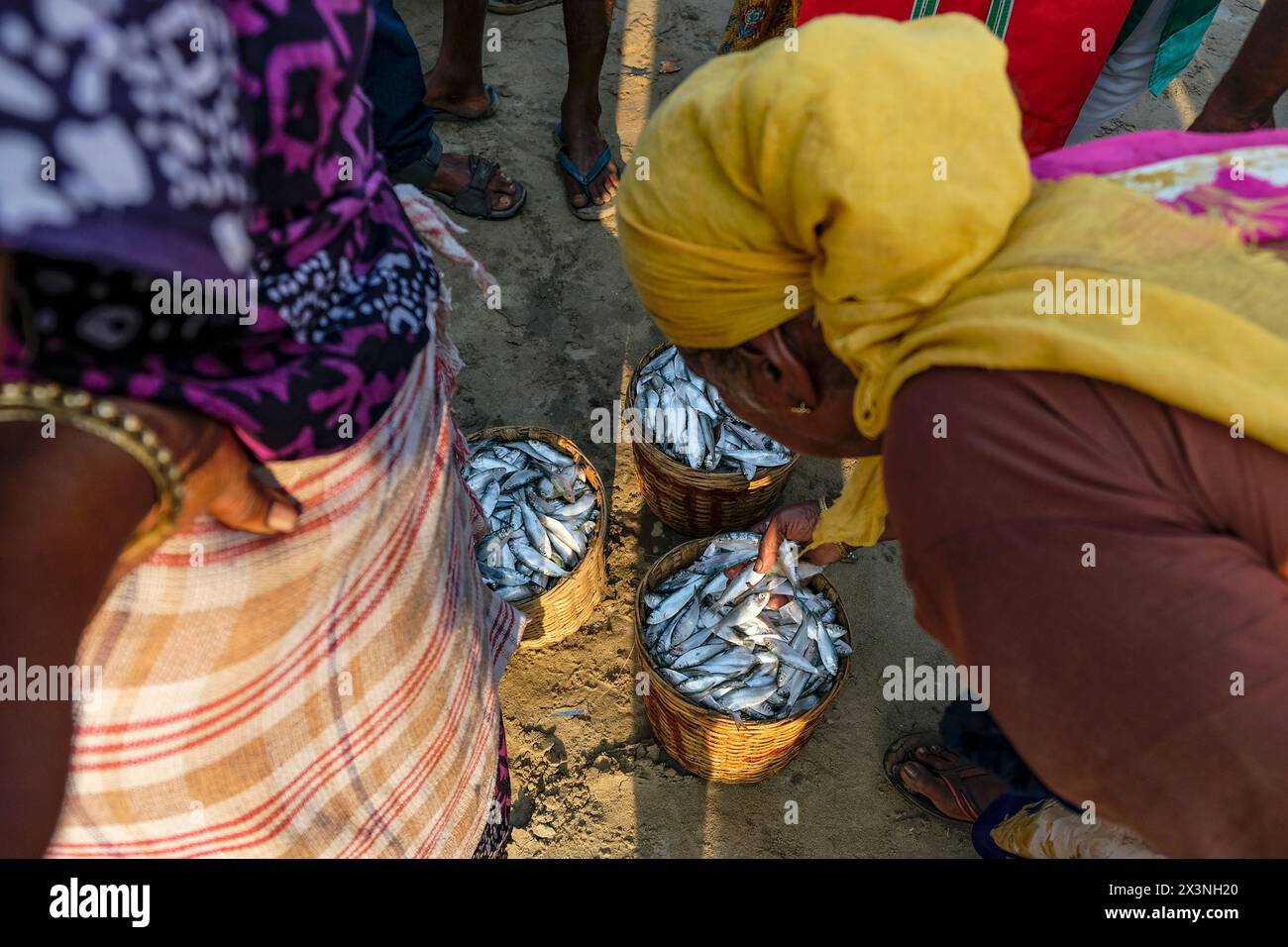 Malvan, India - February 7, 2024: People selling fish at the Malvan ...