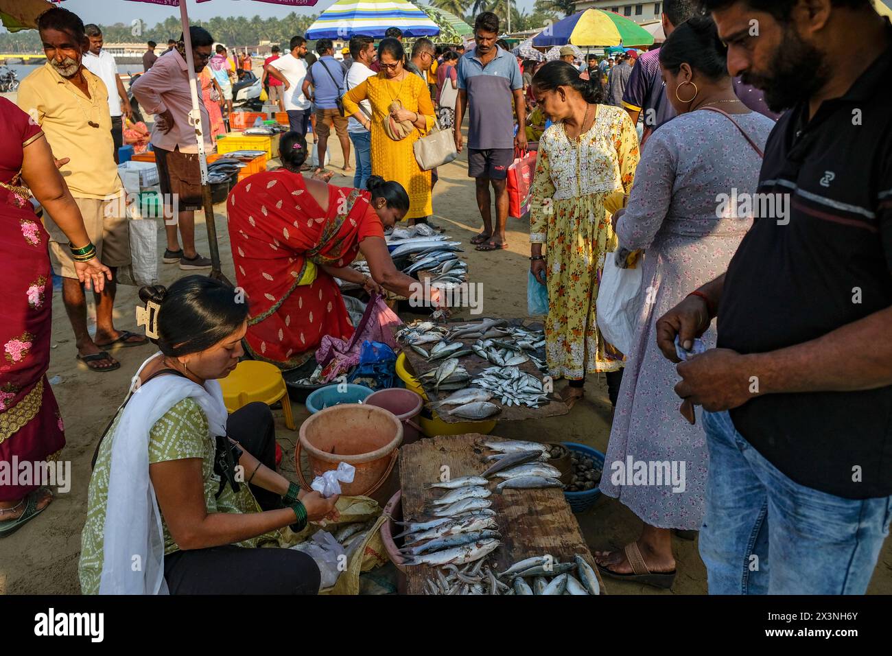 Malvan, India - February 7, 2024: Women selling fish at the Malvan fish ...