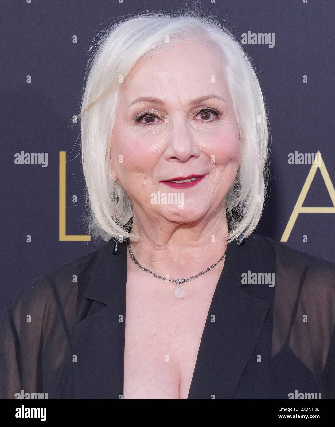 Los Angeles, USA. 27th Apr, 2024. Mimi Leder arrives at the 49th AFI ...