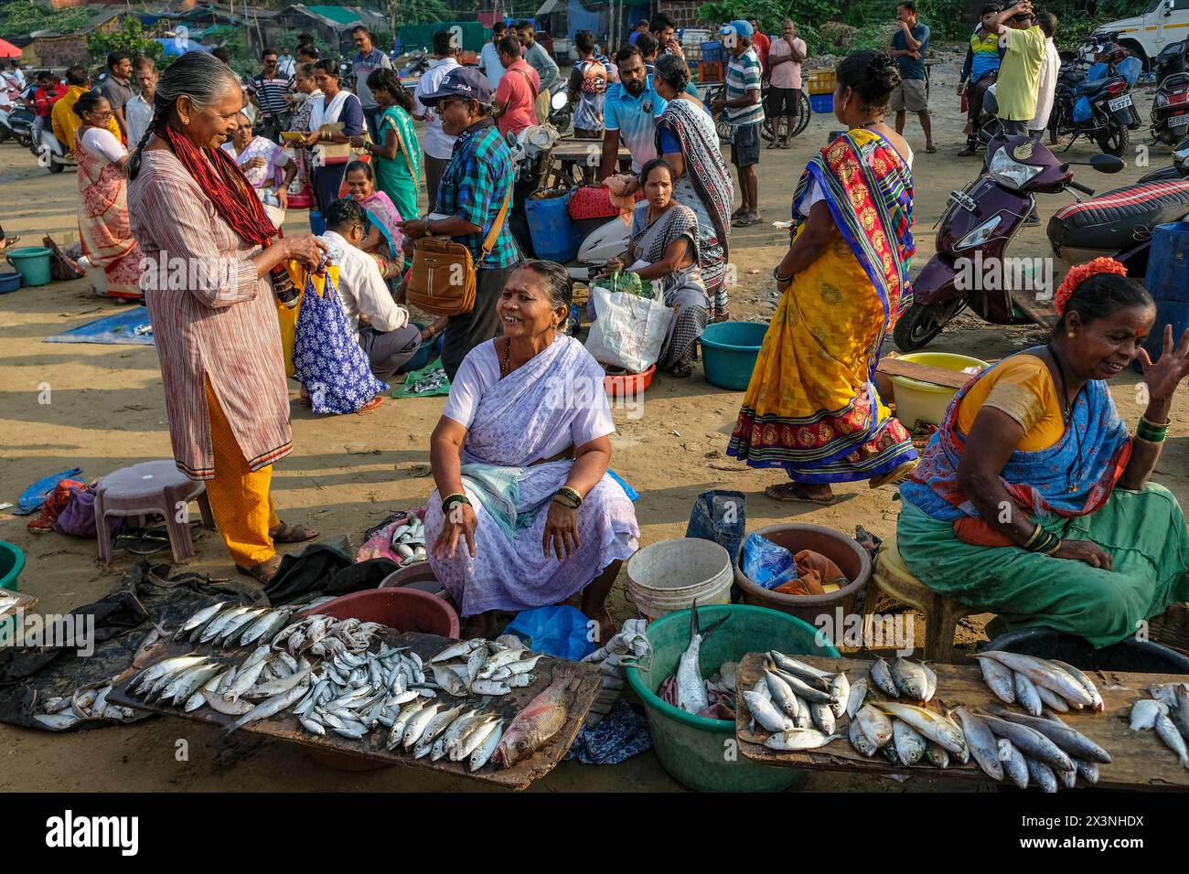 Malvan, India - February 7, 2024: People selling fish at the Malvan ...