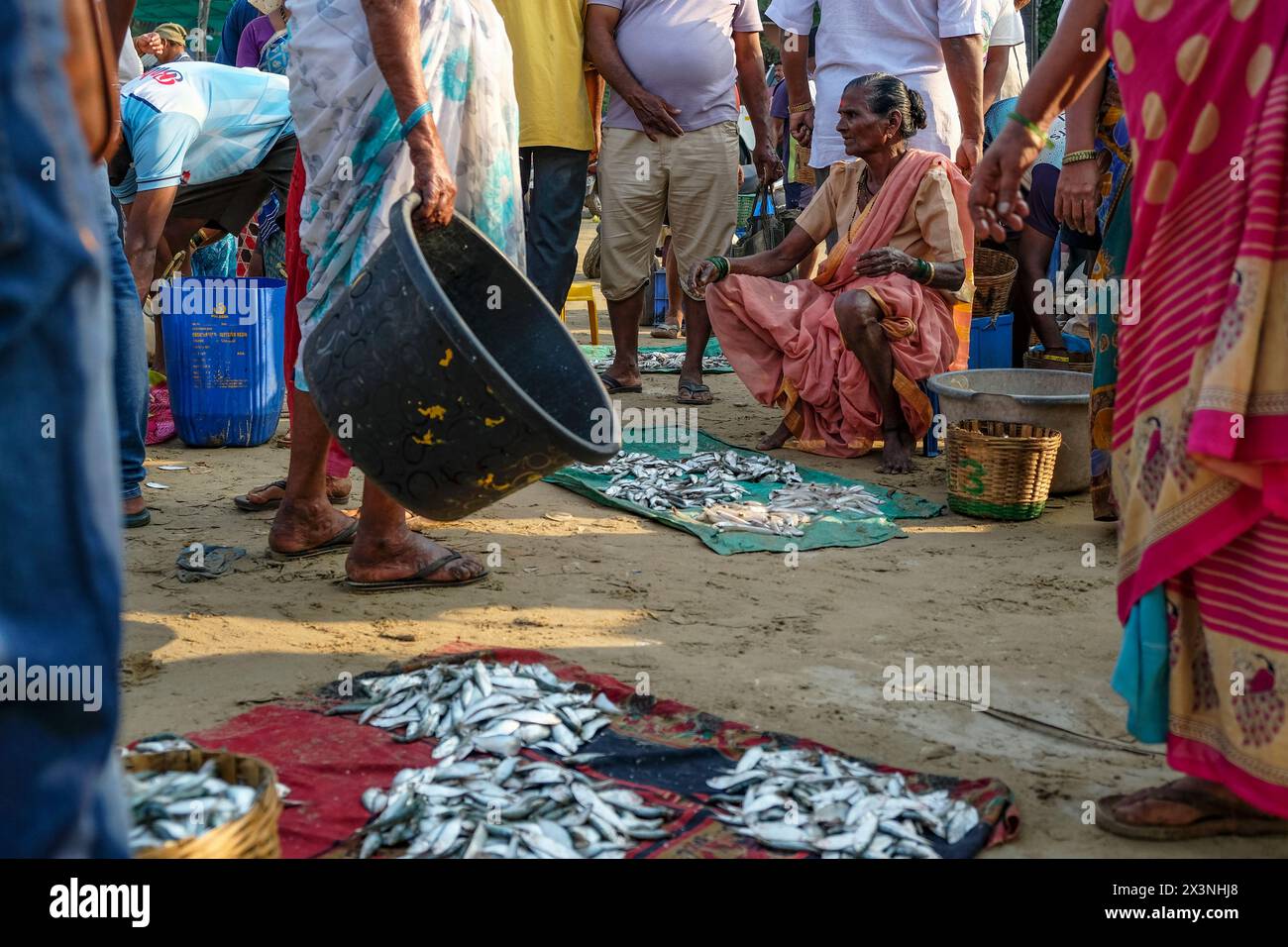 Malvan, India - February 7, 2024: A woman selling fish at the Malvan ...