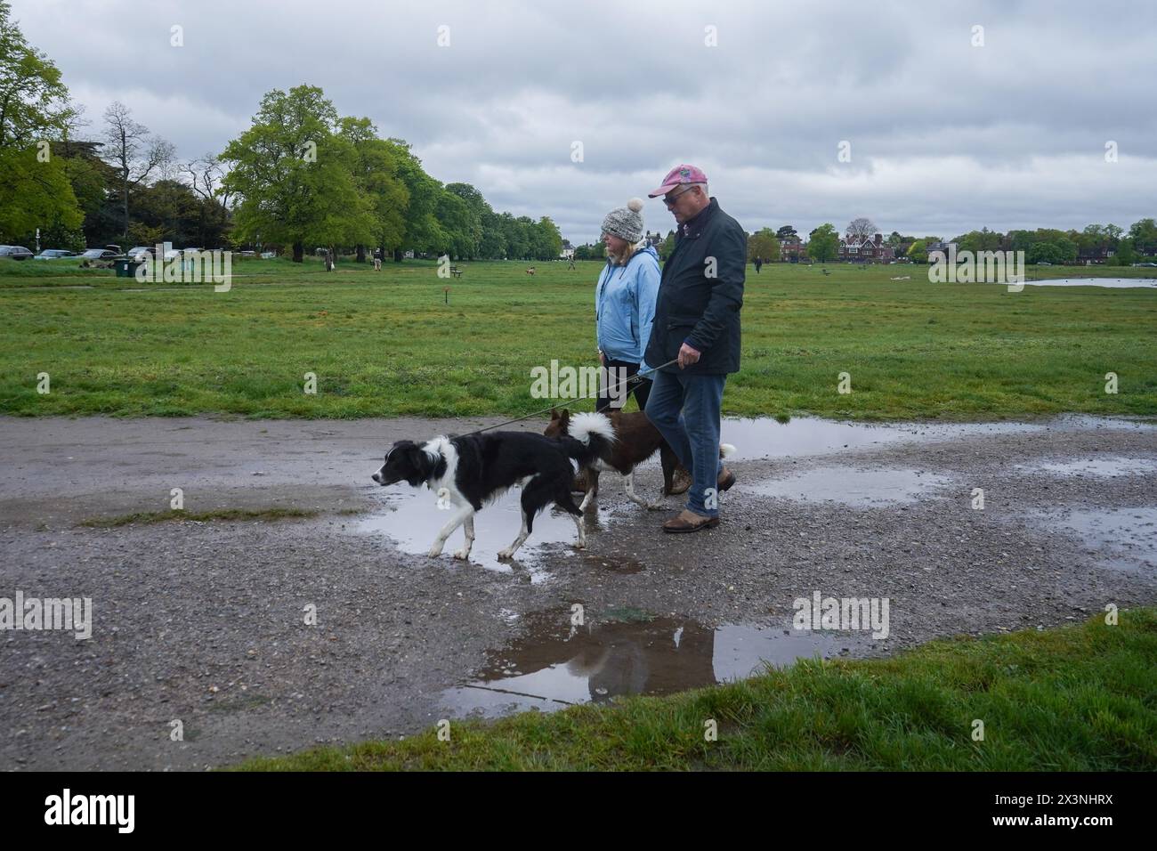 London, UK. 28 April, 2024. Dog walkers walk over large water puddles ...
