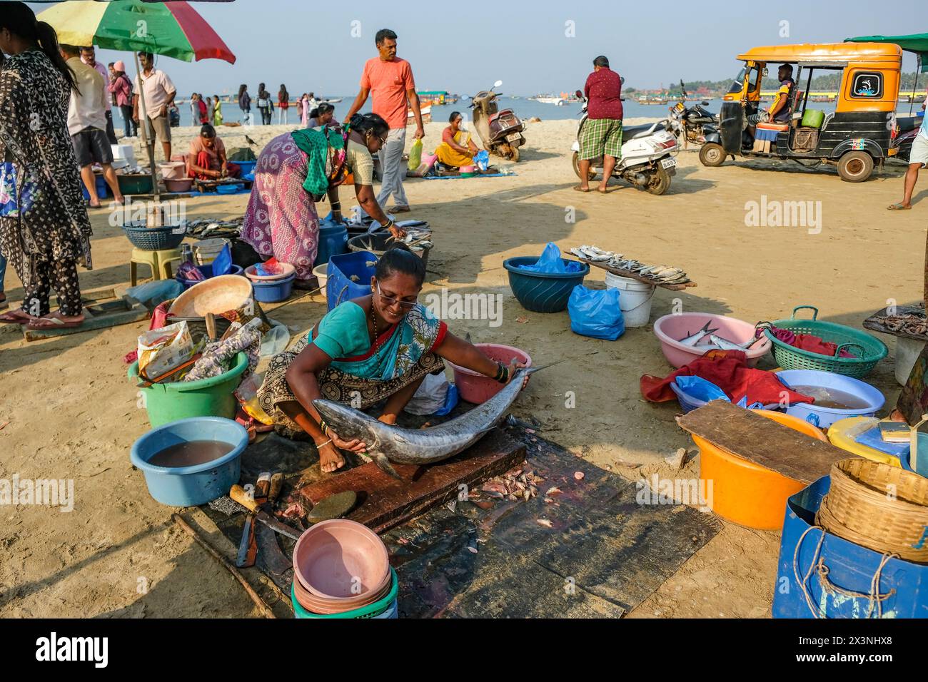 Malvan, India - February 7, 2024: Women selling fish at the Malvan fish ...