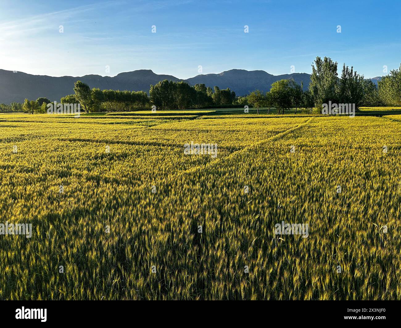 Picturesque scenes hi-res stock photography and images - Alamy