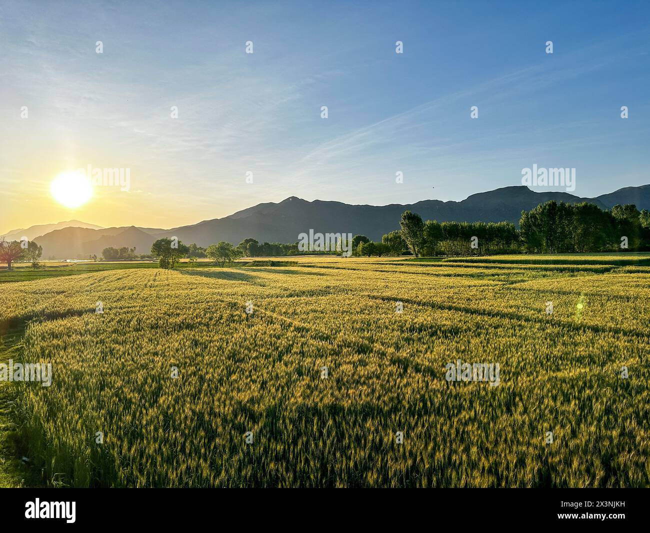 Landscape wheat fields view hi-res stock photography and images - Alamy