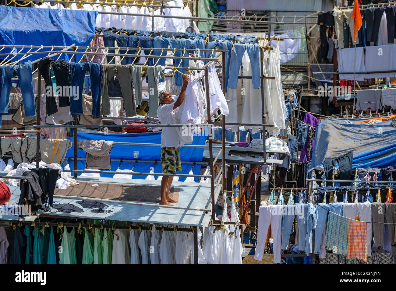 Mumbai, India - March 3, 2024: A man working at Mahalaxmi Dhobi Ghat ...