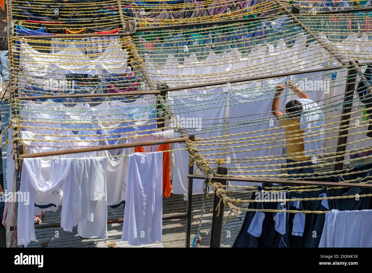 Mumbai, India - March 3, 2024: A man working at Mahalaxmi Dhobi Ghat ...