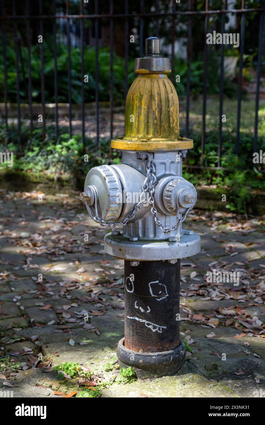 New Orleans, Louisiana. Garden District Fire Hydrant Humorously ...