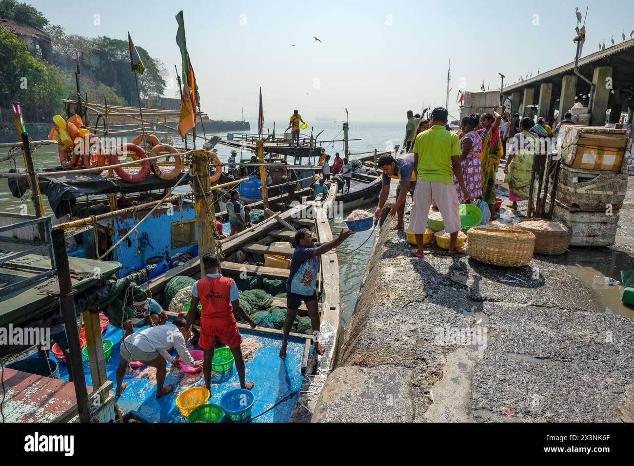 India maharashtra mumbai colaba district hi-res stock photography and ...