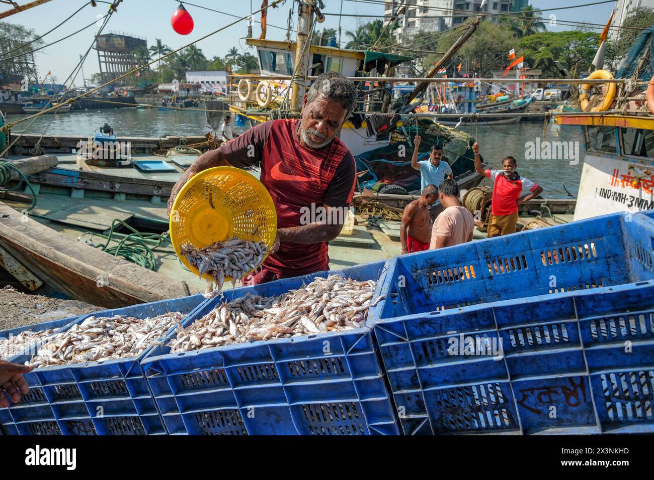 Mumbai, India - March 8, 2024: Fishermen at the Sassoon Dock in the ...