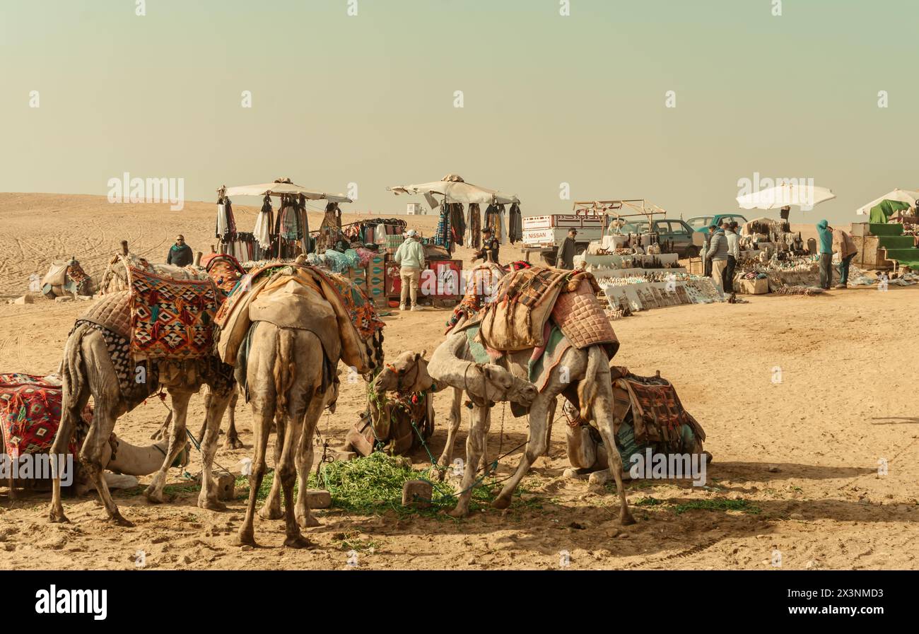 Giza Egypt January 2024: hustle and bustle at the Pyramids of Giza ...