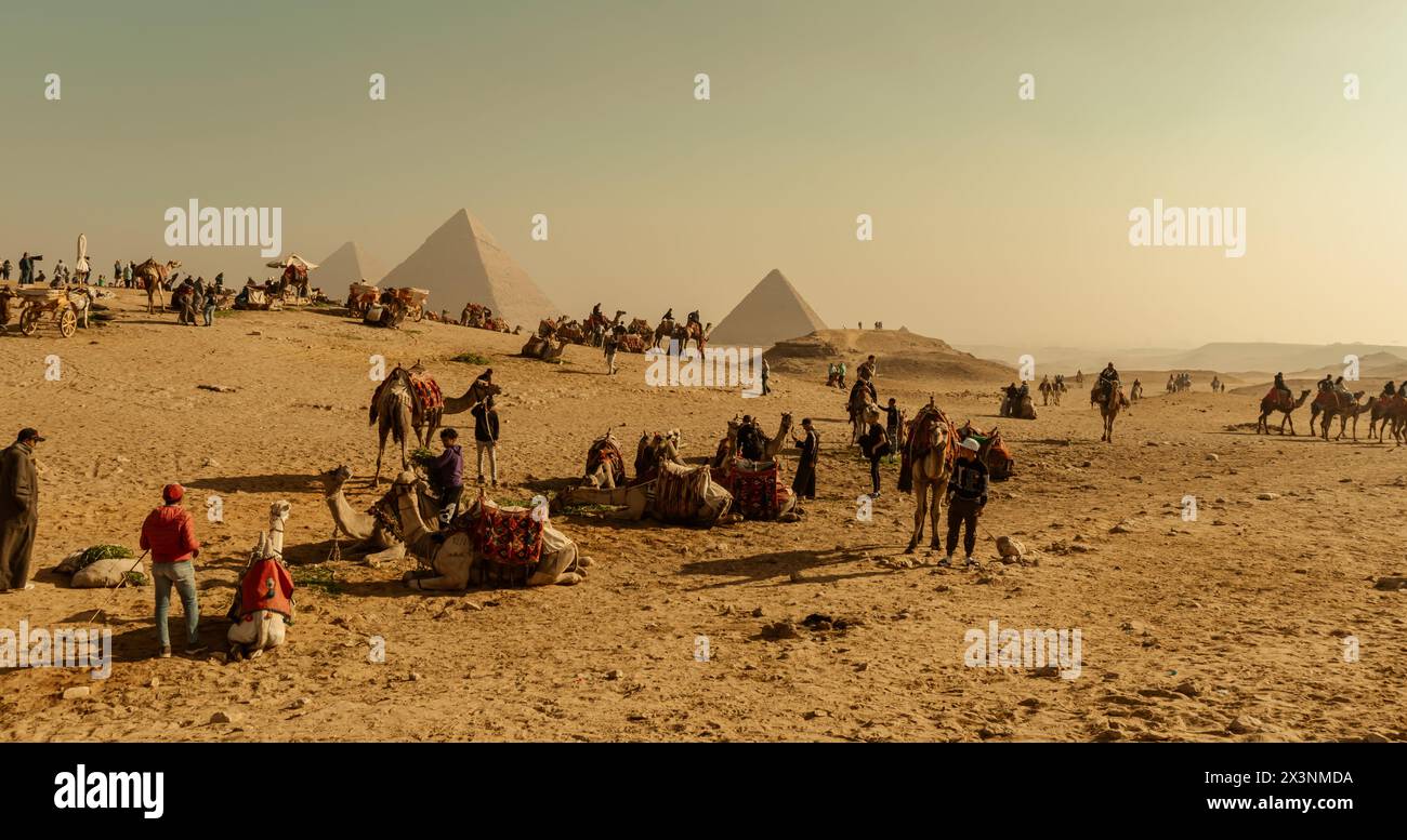 Giza Egypt January 2024: hustle and bustle at the Pyramids of Giza ...
