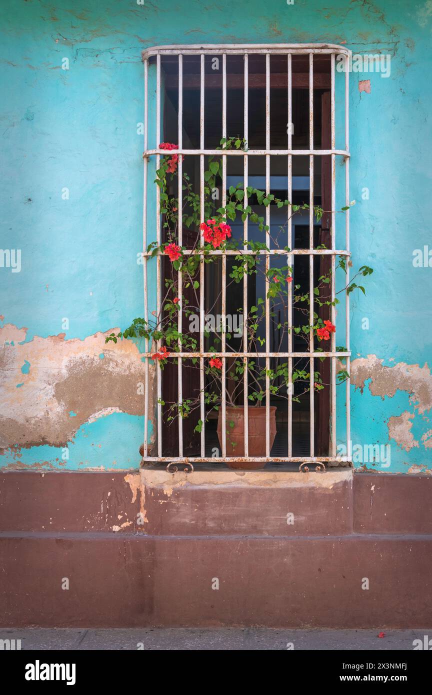 Metal grilles over windows of older houses in the backstreets of ...