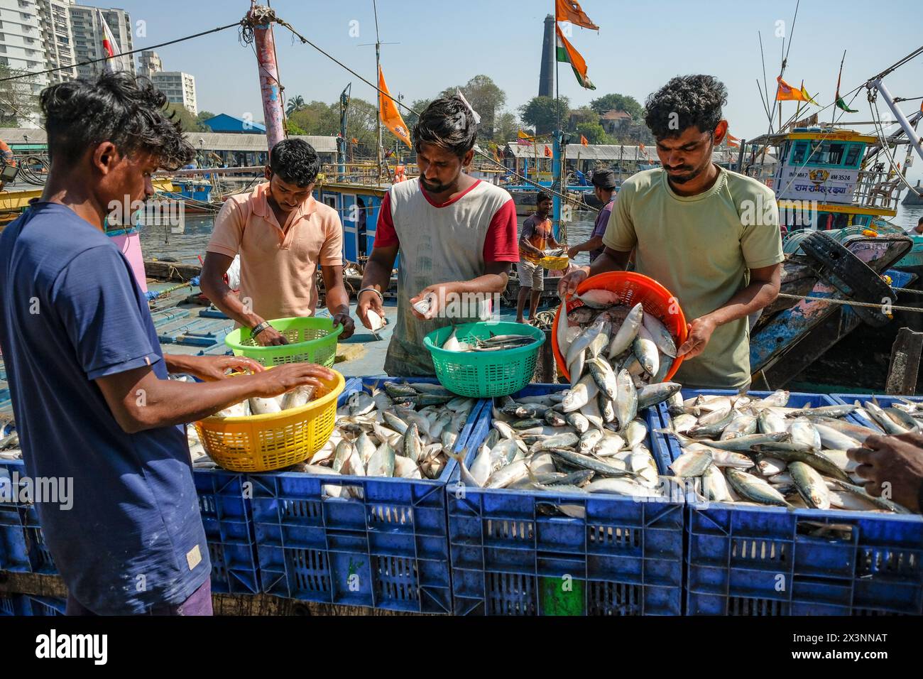 Mumbai, India - March 8, 2024: Fishermen at the Sassoon Dock in the ...