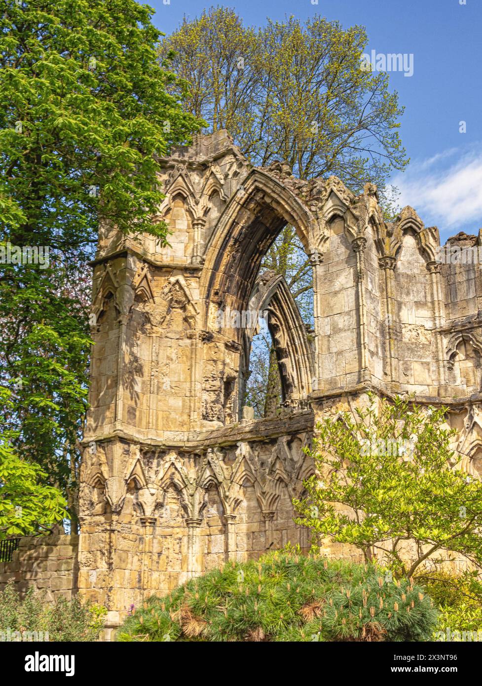 The ancient ruins of St Mary’s Abbey in York. The remains of window of ...