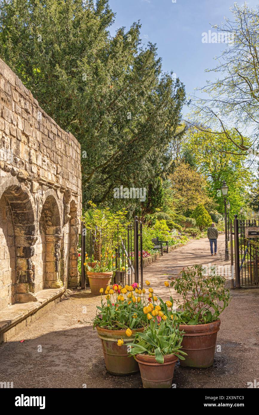 The entrance to Museum Gardens in York. There is an ancient wall with ...