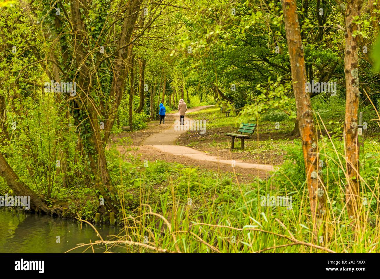 Shrubbery walk hi-res stock photography and images - Alamy