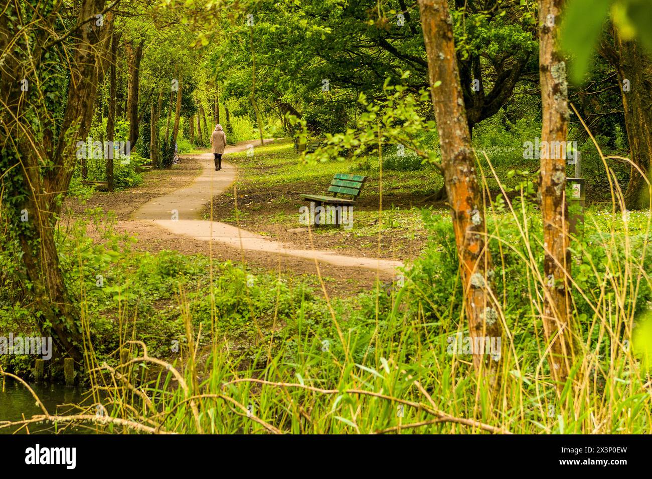 Shrubbery walk hi-res stock photography and images - Alamy