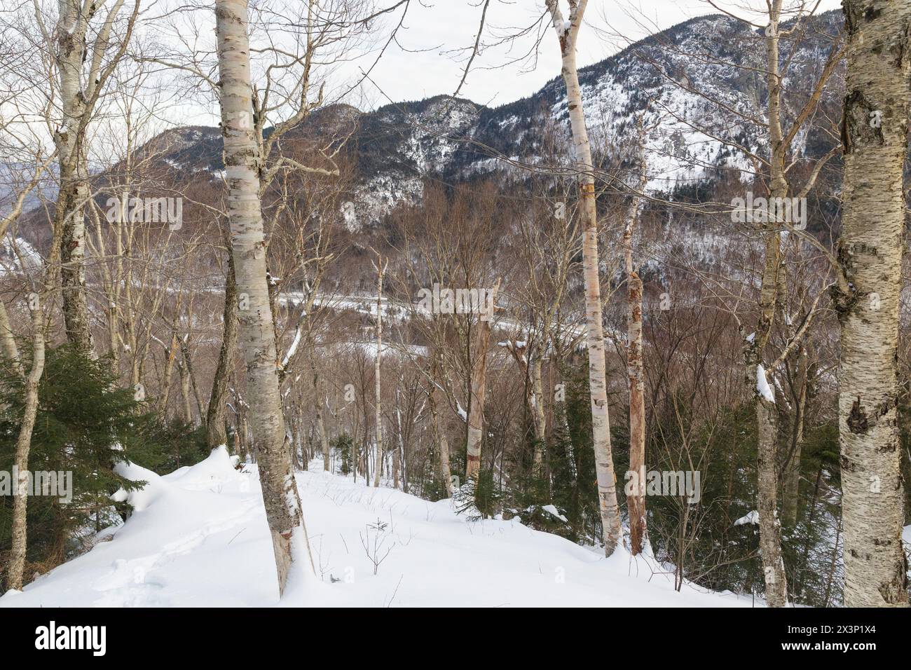 Franconia Notch State Park from ski glades on the side of Cannon ...