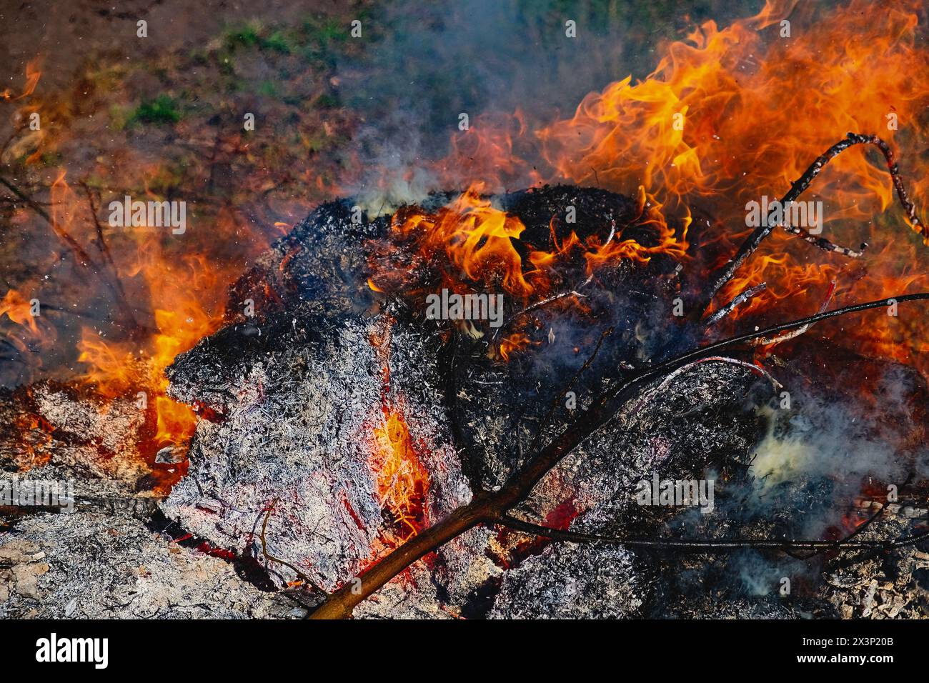 The fire is set in an open field with no immediate structures nearby ...
