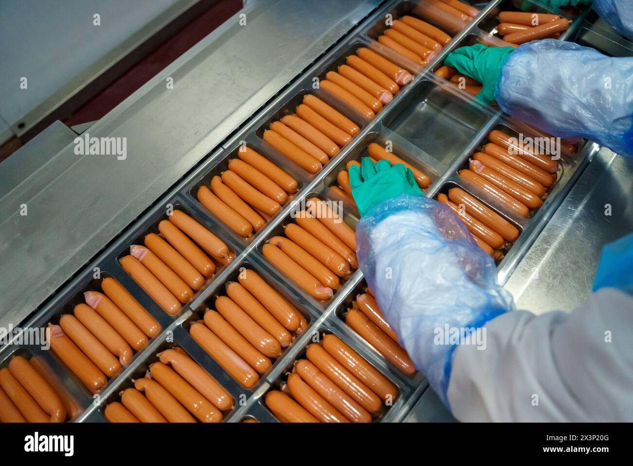 Production of meat sausages. Meat factory and industry. High quality ...