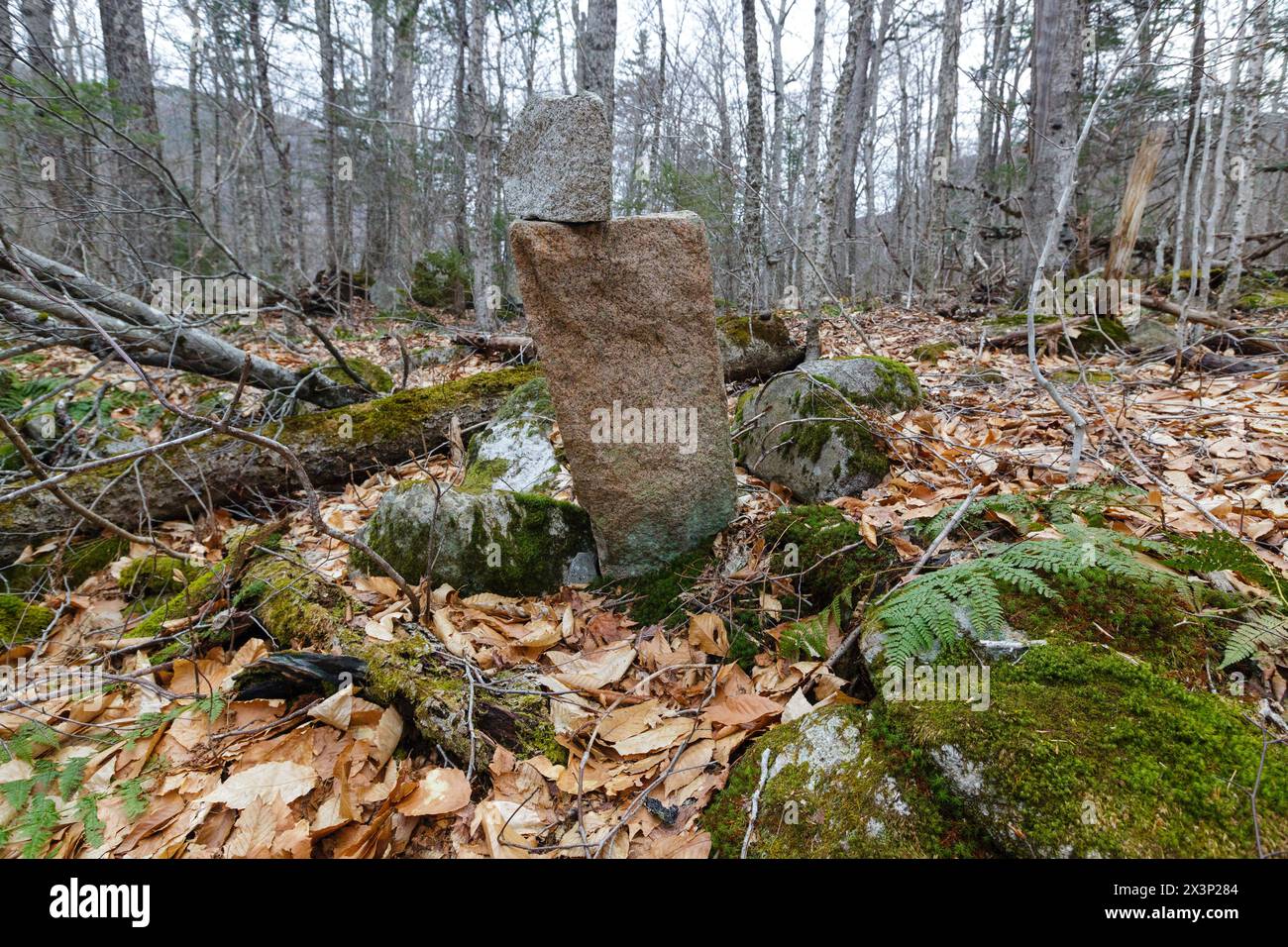 A random boulder sticking out of the ground in Franconia Notch State ...