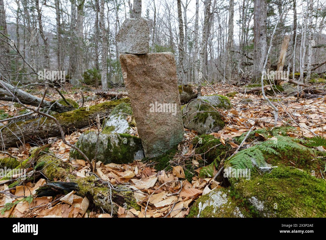 A random boulder sticking out of the ground in Franconia Notch State ...