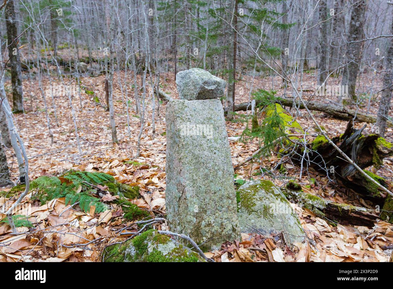 A random boulder sticking out of the ground in Franconia Notch State ...