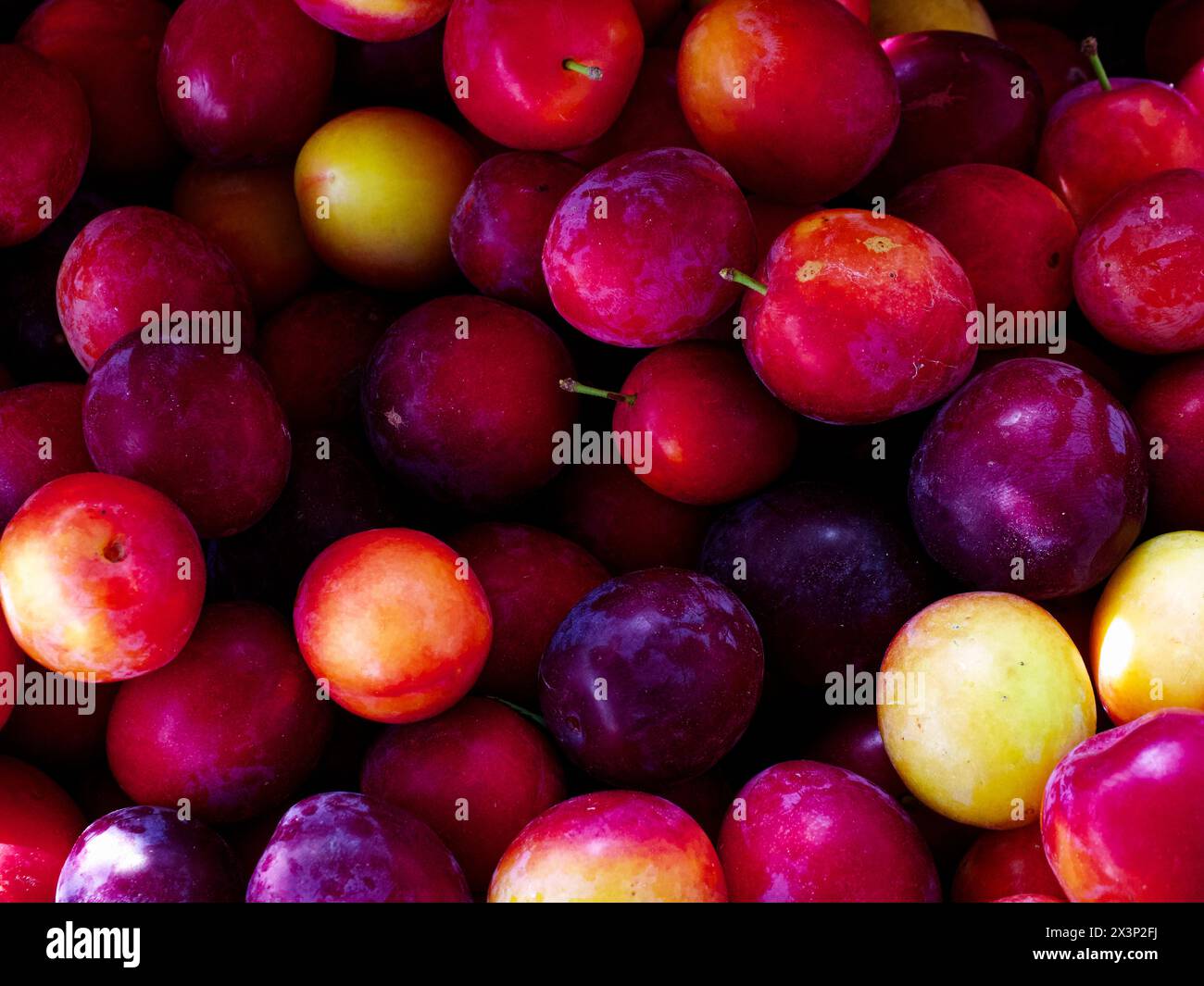 Nutrition visuals hi-res stock photography and images - Alamy