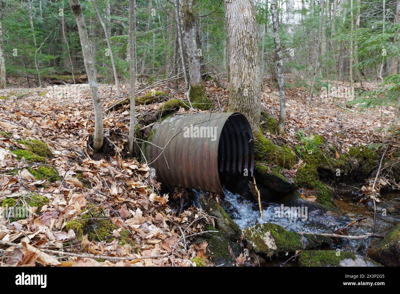 Culvert along the old Daniel Webster Highway (Route 3) in Franconia ...