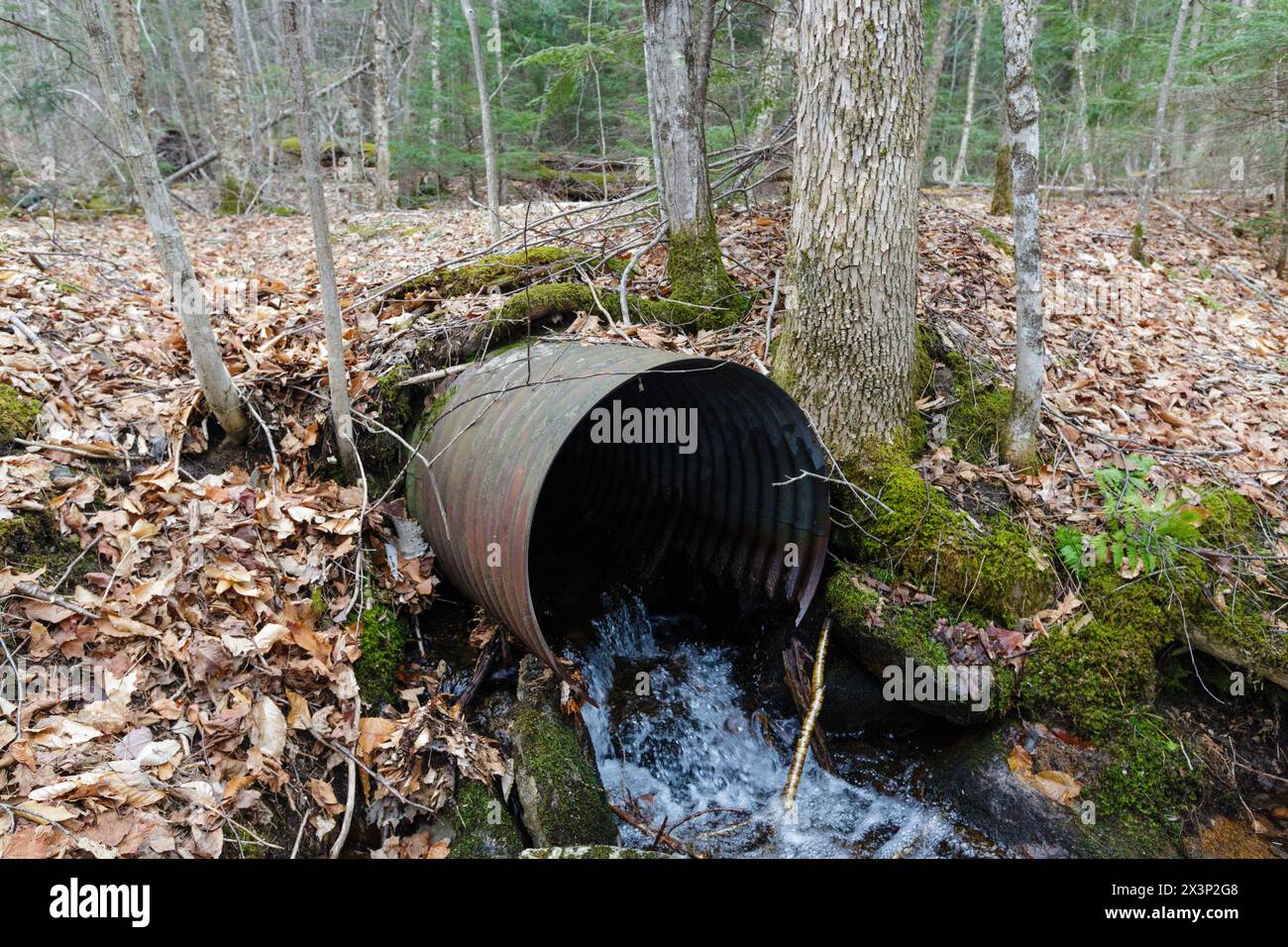 Culvert along the old Daniel Webster Highway (Route 3) in Franconia ...