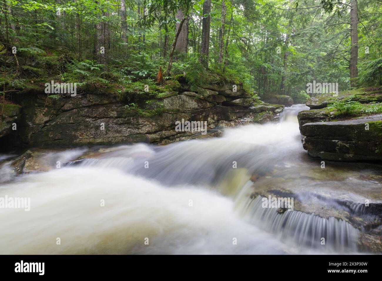 South Branch of the Gale River in Bethlehem, New Hampshire on a summer ...