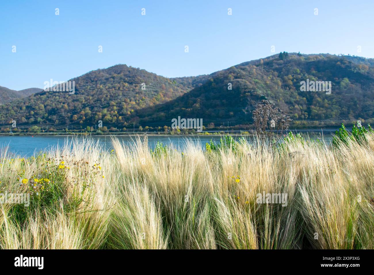Beautiful view river water flows hi-res stock photography and images ...