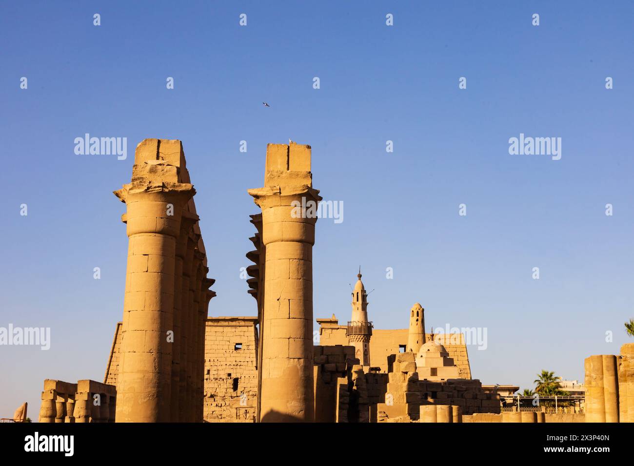 Grand Colonnades and Pylon, Luxor Temple, Luxor, Egypt Stock Photo - Alamy