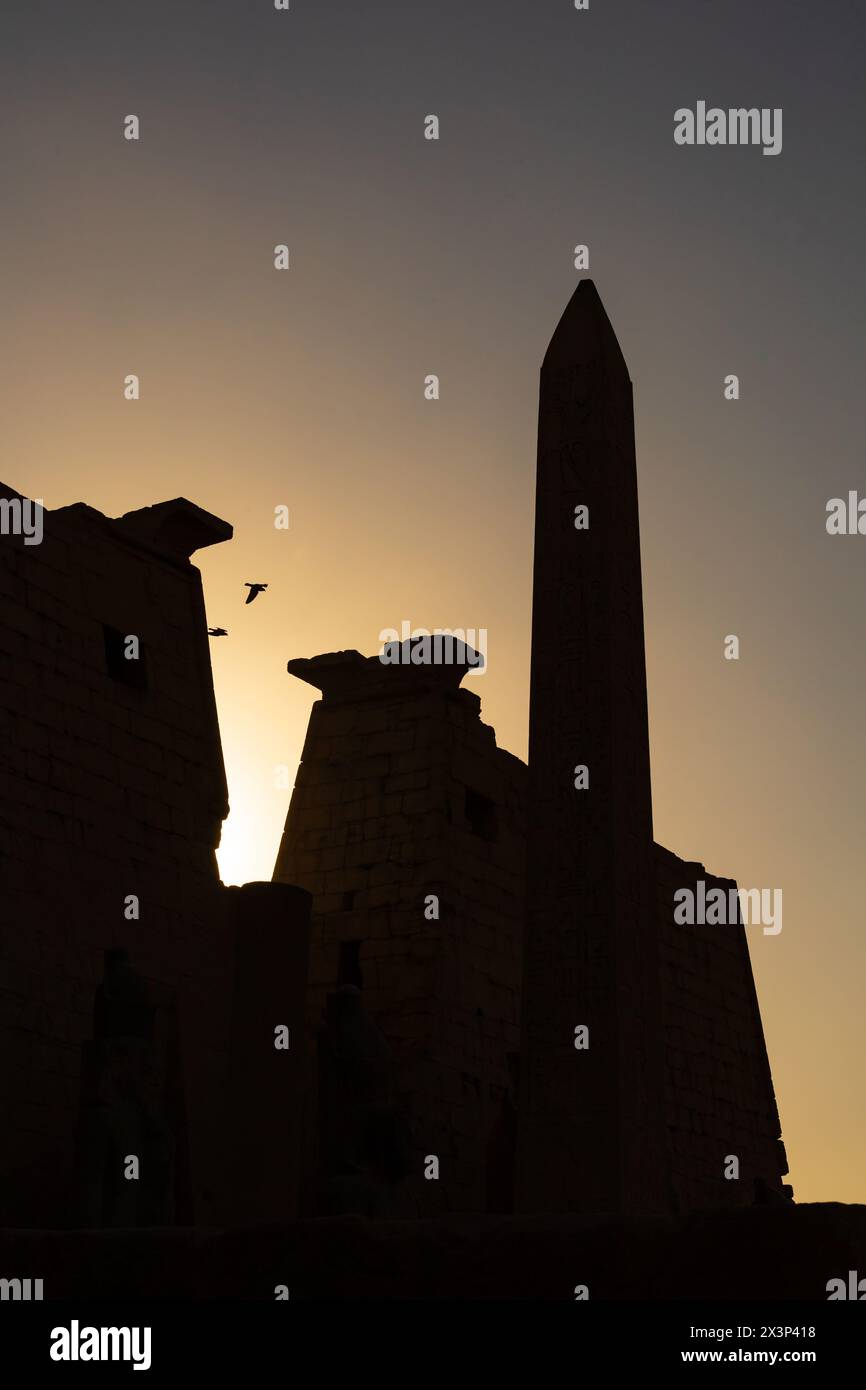 First pylon and Obelisk of Ramses II in silhouette from the setting sun ...