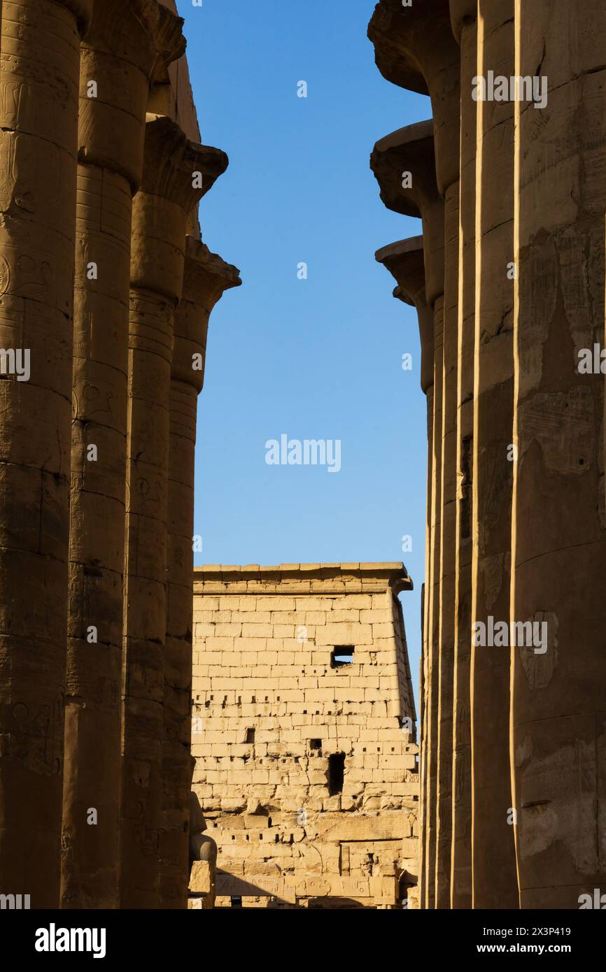 Grand Colonnades and Pylon, Luxor Temple, Luxor, Egypt Stock Photo - Alamy