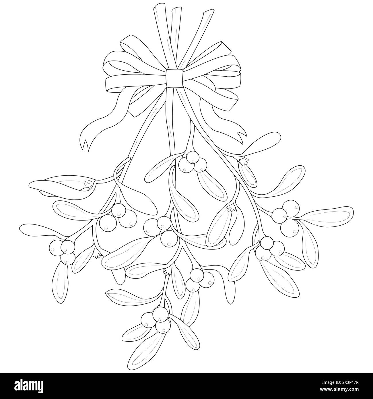 Christmas traditional mistletoe isolated on white background, plant ...