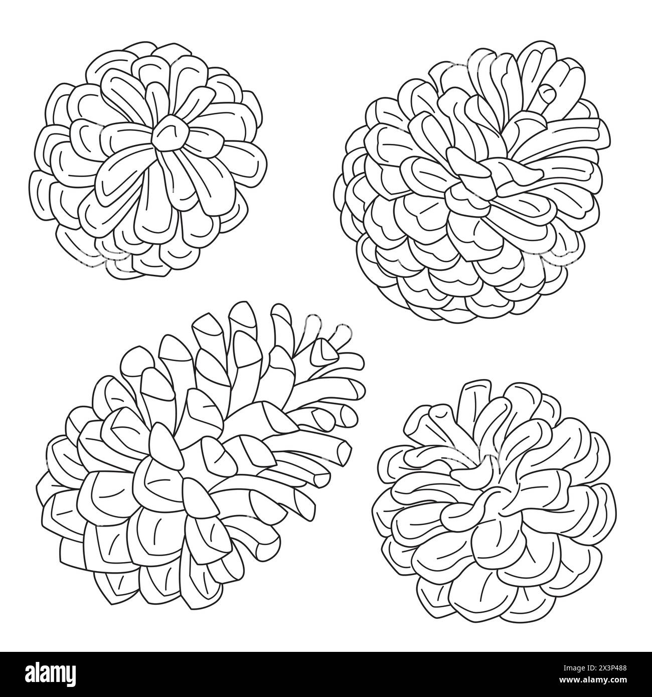 pine cones coloring pages