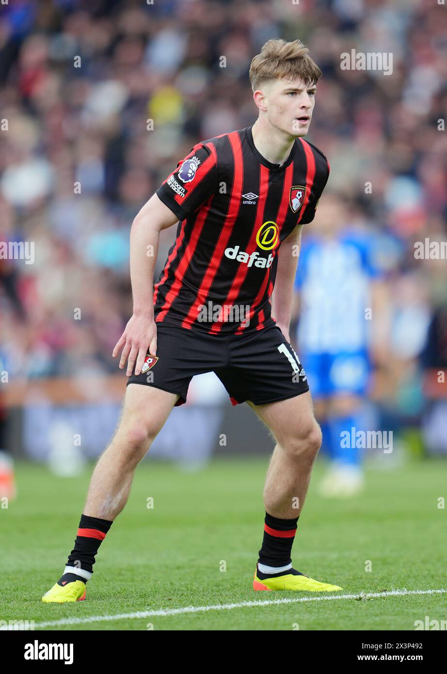 Alex scott bournemouth 2024 hi-res stock photography and images - Alamy